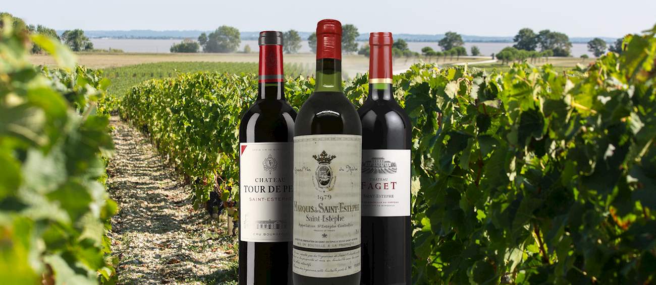 Saint-Estèphe | Local Wine Appellation From Gironde, France