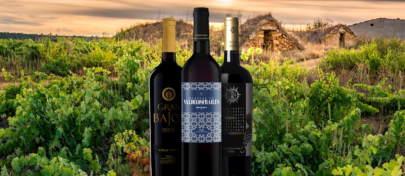 Toro | Local Wine Appellation From Province of Zamora, Spain