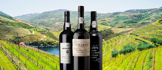 Fortified Wines of the World: 75 Fortified Wine Types | TasteAtlas