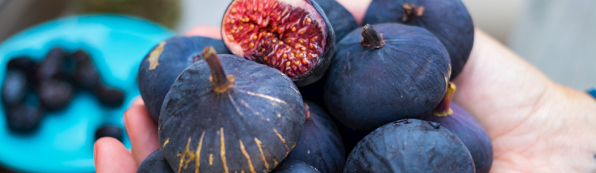 7 Best Figs in the World - TasteAtlas