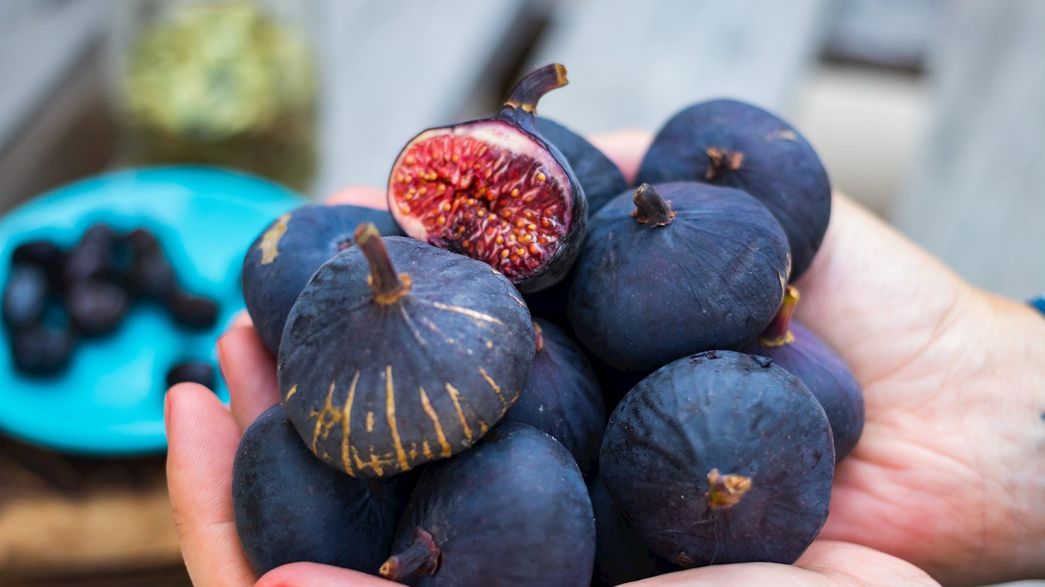 Top 7 Californian Fruits - TasteAtlas