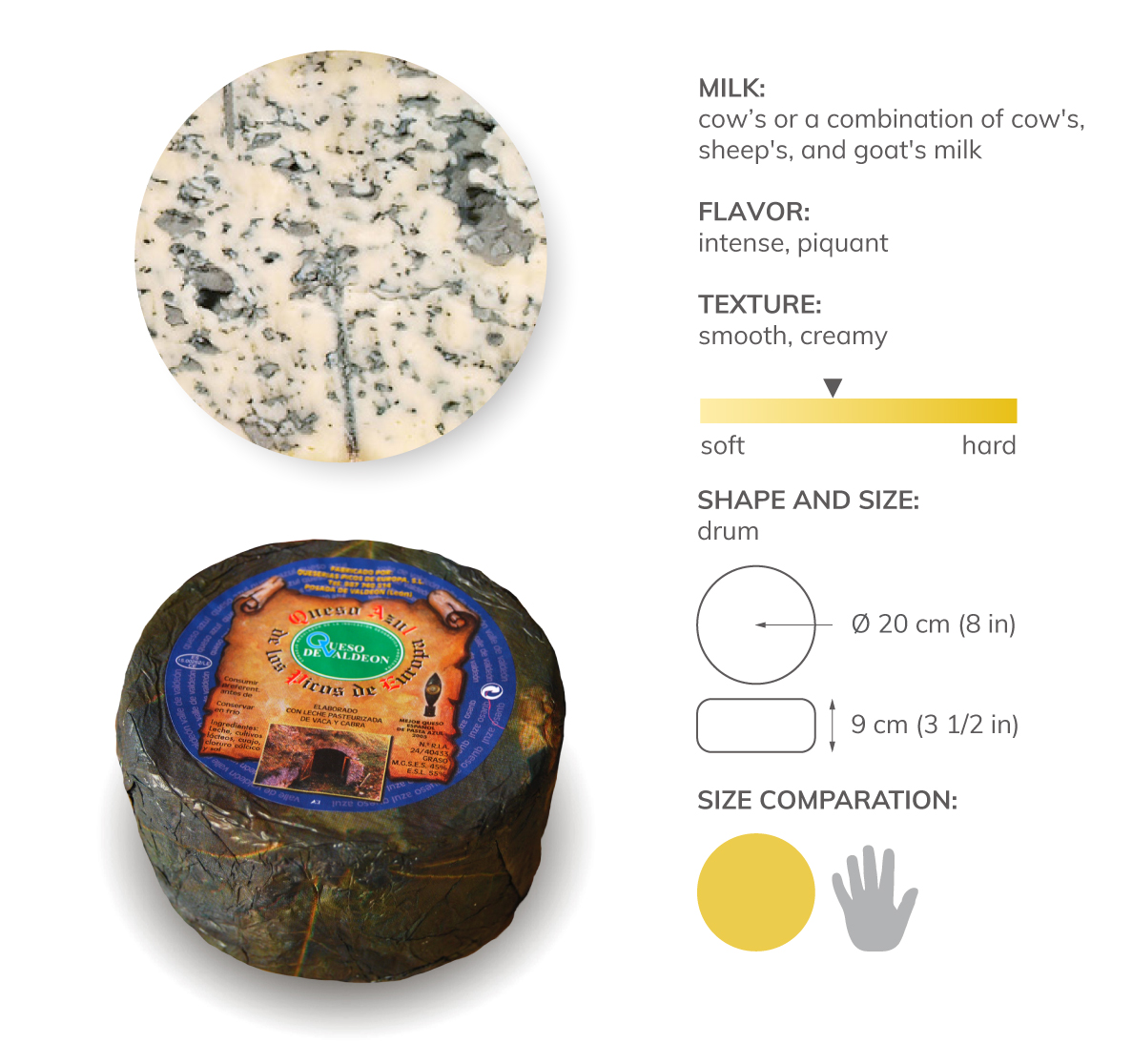 Queso de Valdeón | Local Cheese From Posada de Valdeón, Spain | TasteAtlas