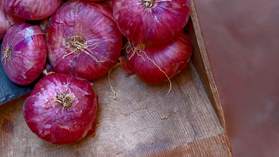 5 Best Onions in Italy - TasteAtlas