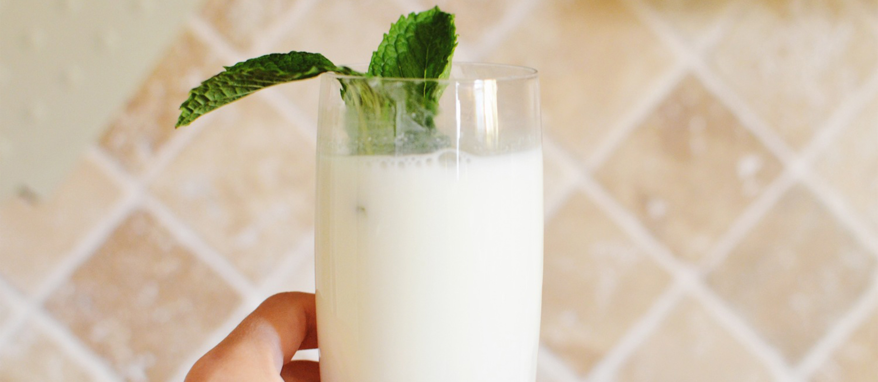 Tahn | Local Dairy Beverage From Armenia