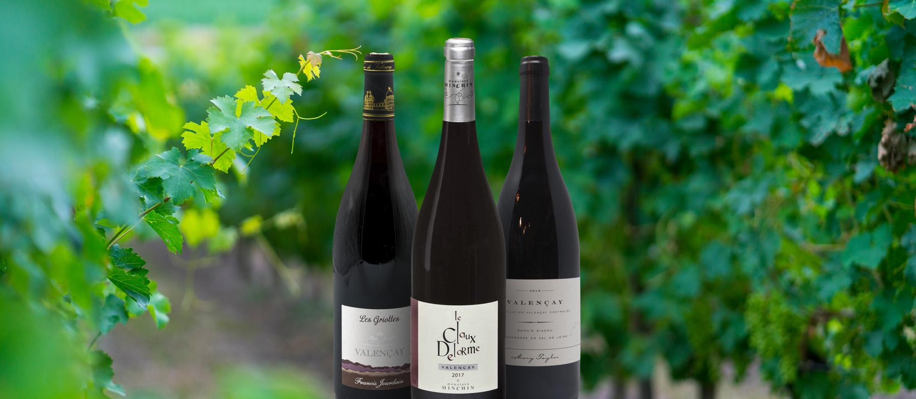 Valençay Rouge | Local Wine Appellation From Indre, France
