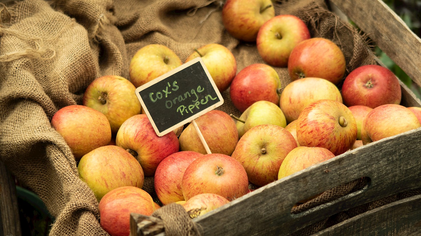 8 Best Apple Varieties in the United Kingdom - TasteAtlas