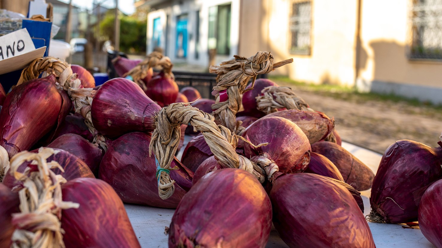 Top 5 Italian Onions - TasteAtlas