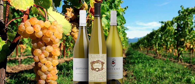 Italian Wine Varieties: 84 Wine Variety Types in Italy | TasteAtlas