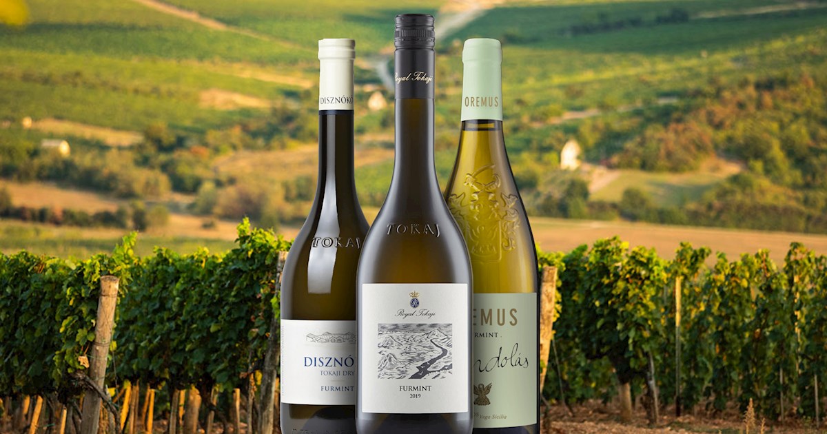 Hungarian Grapes: 9 Grapes Types in Hungary | TasteAtlas