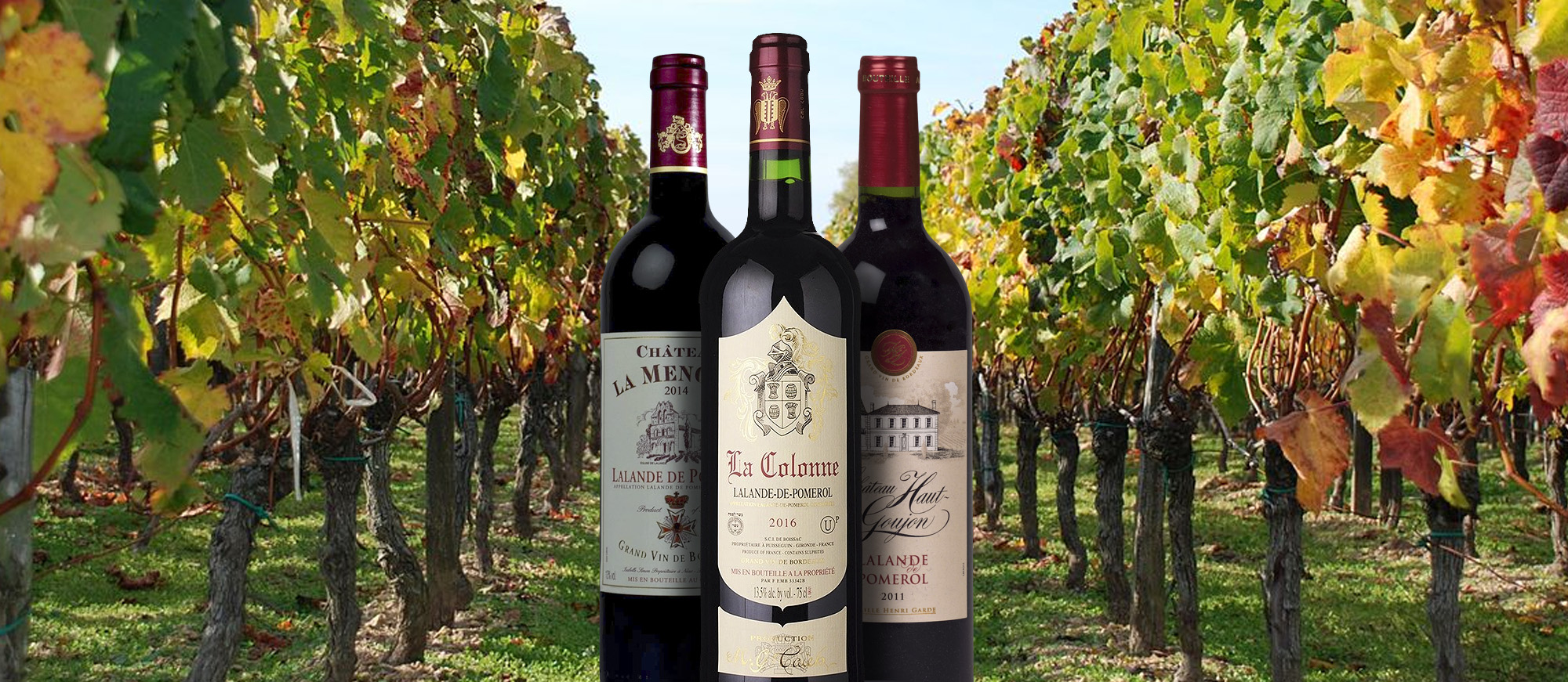 Lalande-de-Pomerol | Local Wine Appellation From Lalande-de-Pomerol, France