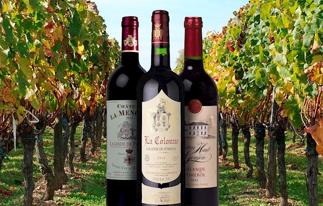 French Red Wines: 74 Red Wine Types in France | TasteAtlas