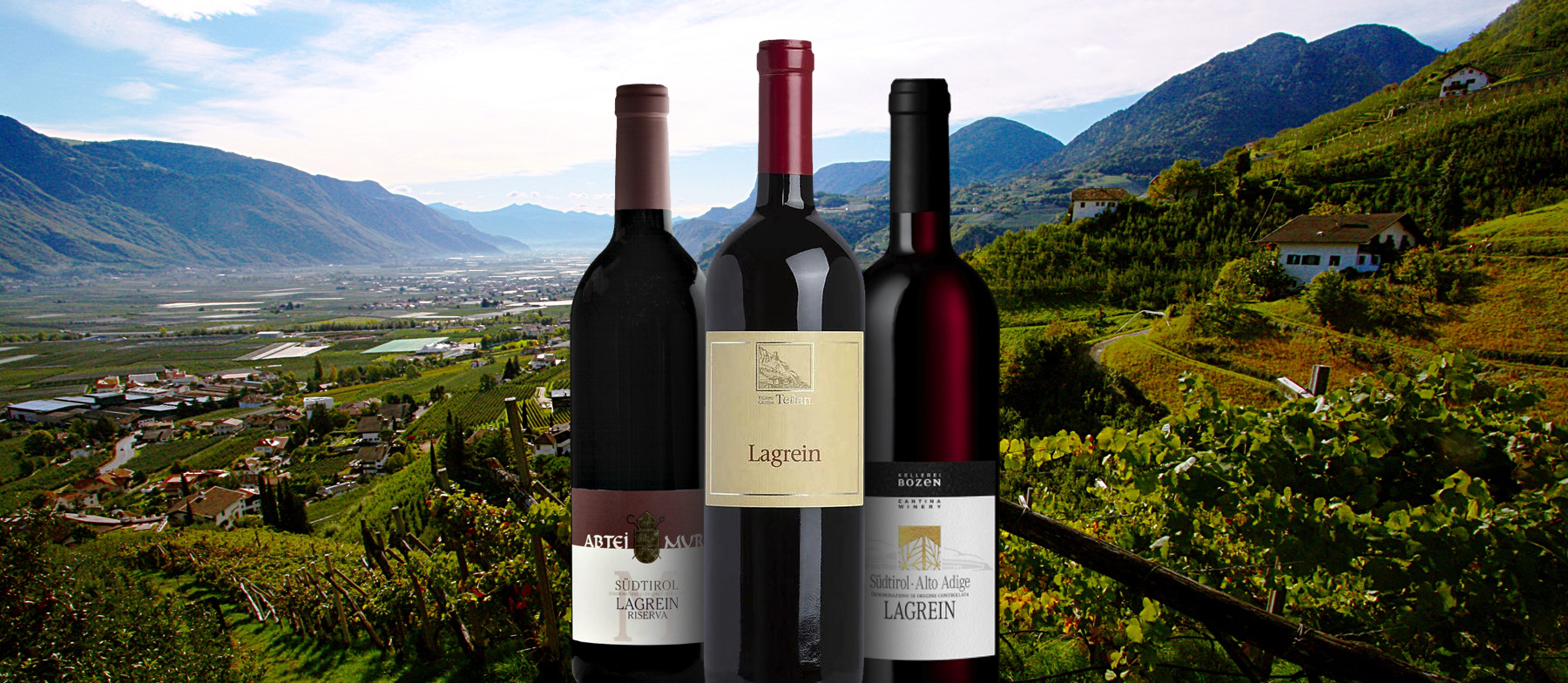 Lagrein | Local Wine Variety From South Tyrol, Italy
