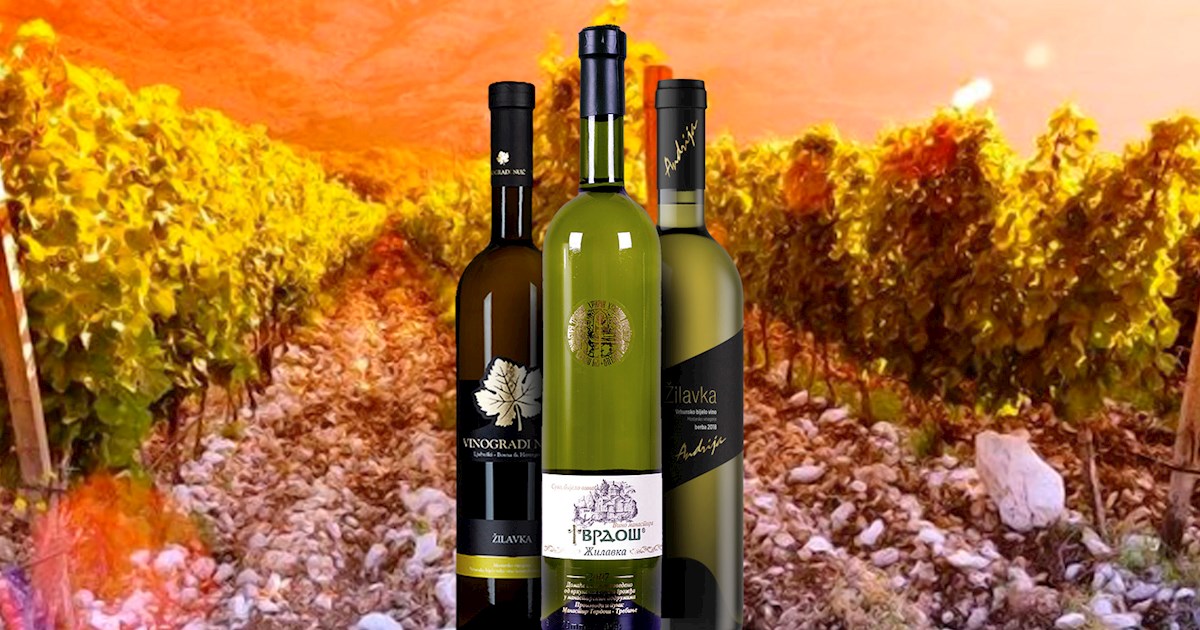 3 Worst Rated Bosnian and Herzegovinian Alcoholic Beverages - TasteAtlas