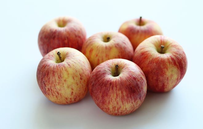 North American Apples: 54 Apple Types in North America | TasteAtlas
