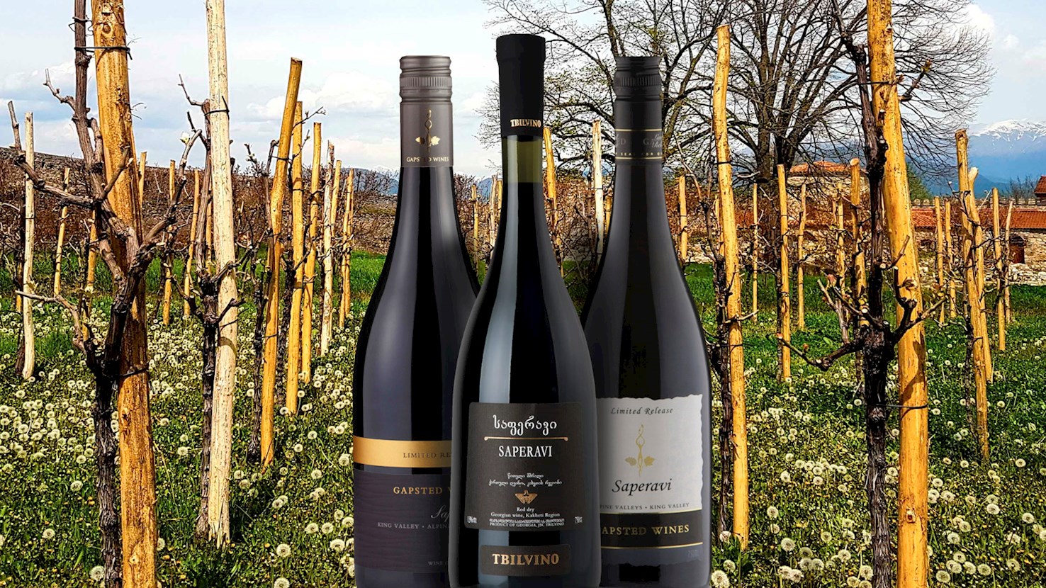 Top 100 Grapes in the World - TasteAtlas