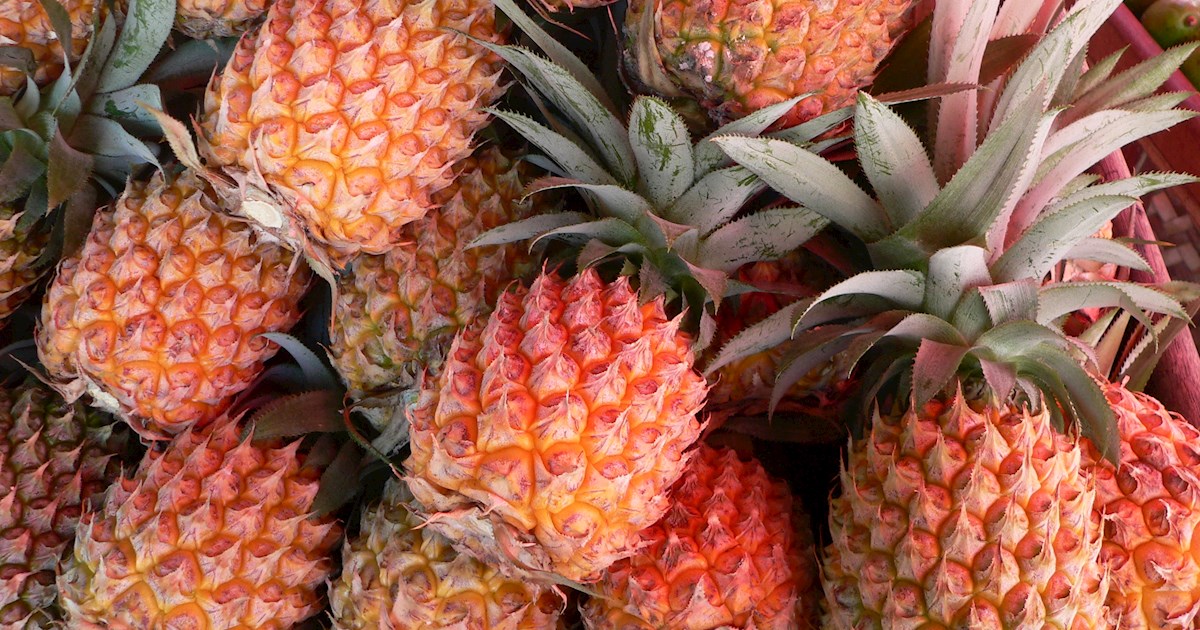 Queen Victoria Pineapple | Local Pineapple From Réunion, France