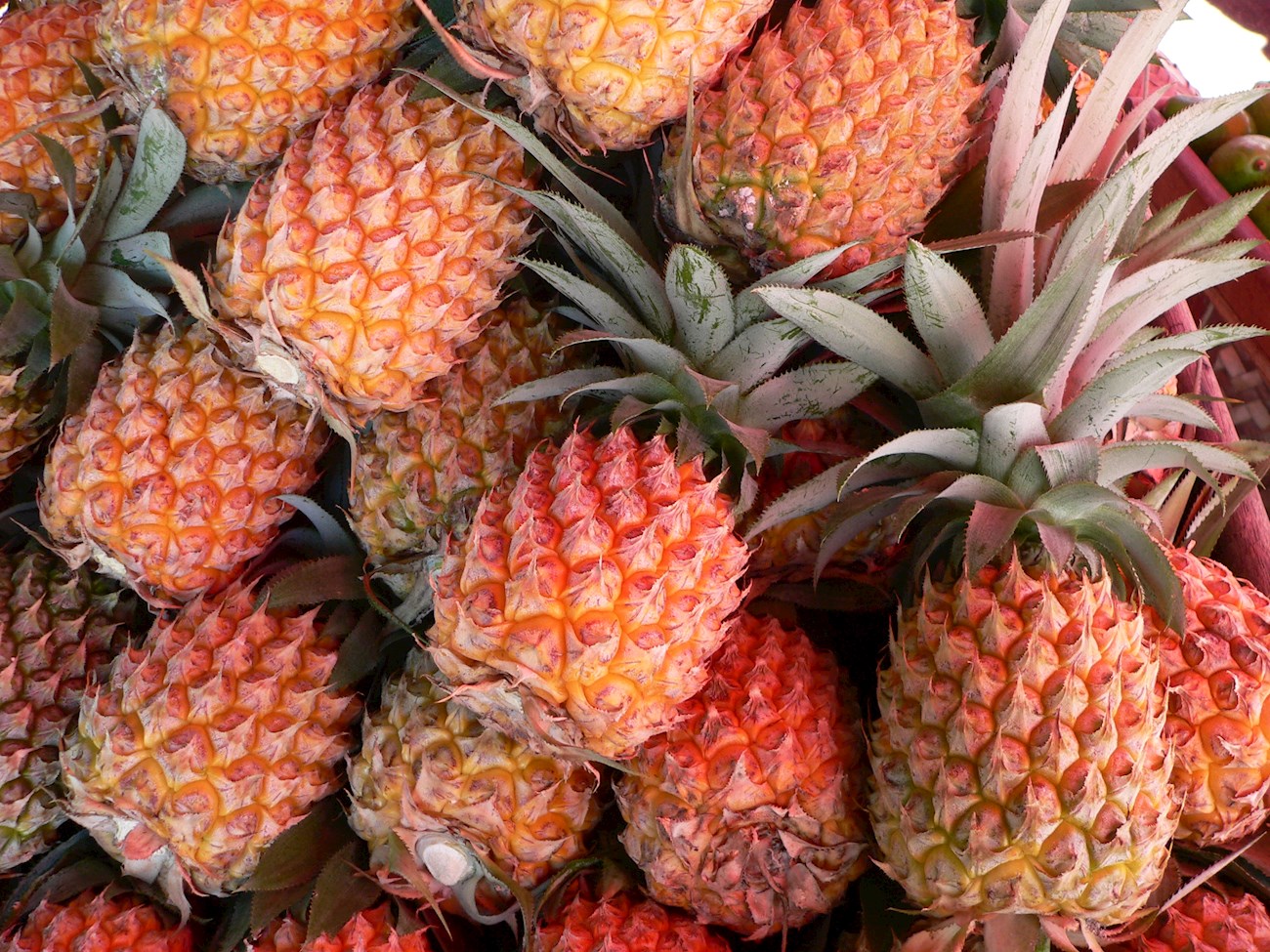 Queen Victoria Pineapple | Local Pineapple From Réunion, France
