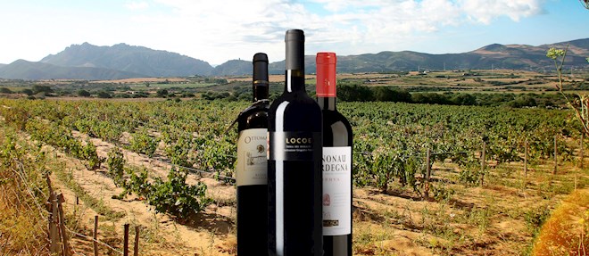 Sardinian Wines: 16 Wine Types in Sardinia | TasteAtlas
