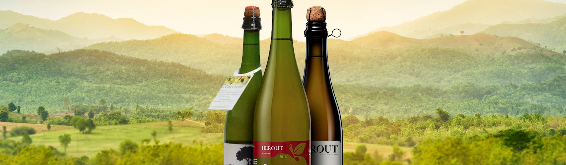 4 Best Ciders in Lower Normandy - TasteAtlas