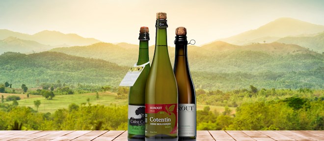 Ciders of the World: 18 Cider Types | TasteAtlas