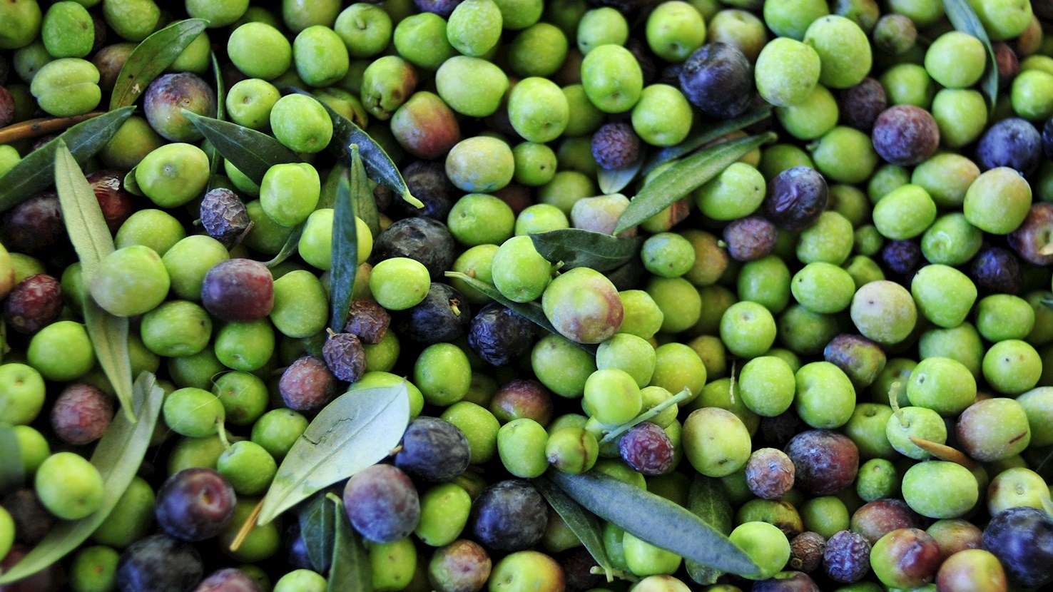 14 Best Olives in Spain - TasteAtlas
