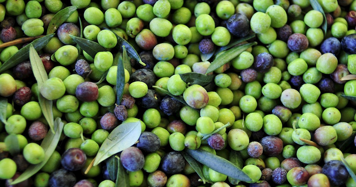 59 Best Olives in the World - TasteAtlas