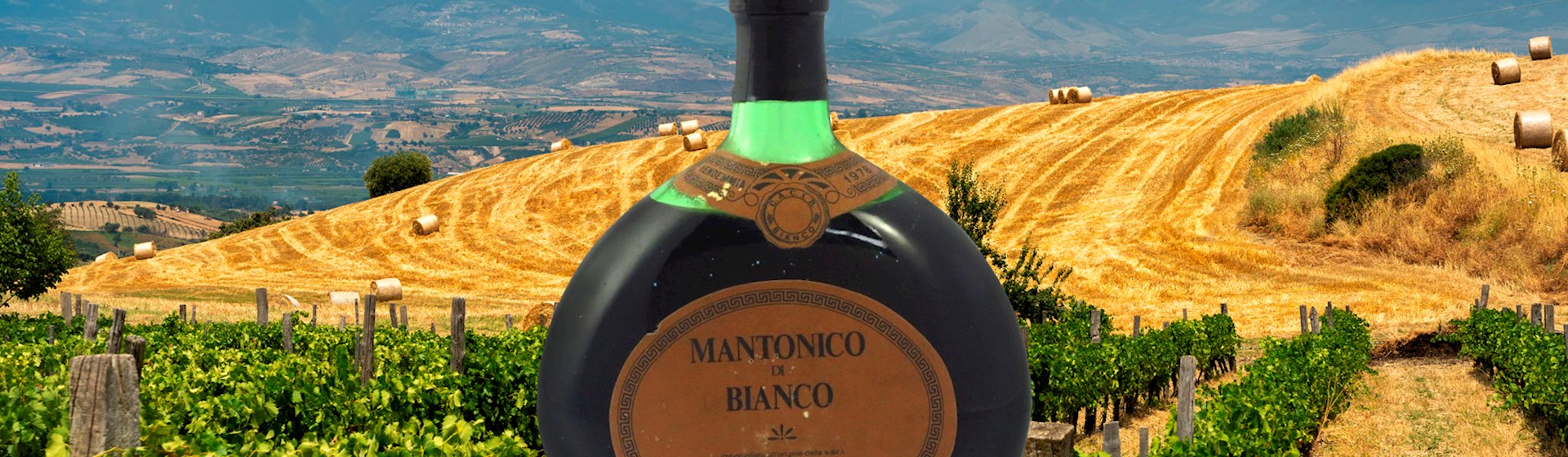 4 Best White Wines in Calabria - TasteAtlas