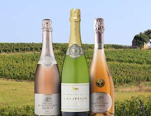 World Sparkling Wine Map | 25 World Sparkling Wines | TasteAtlas