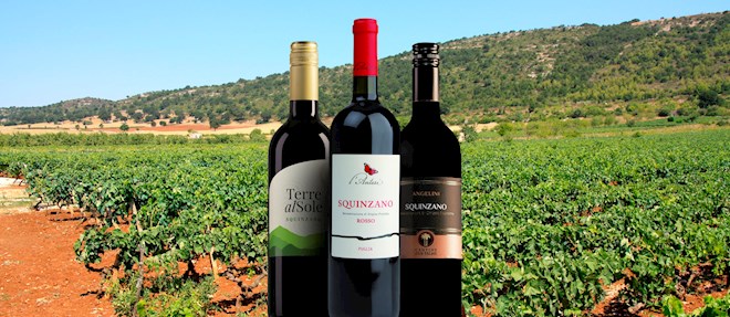 Apulian Red Wines: 11 Red Wine Types in Apulia | TasteAtlas