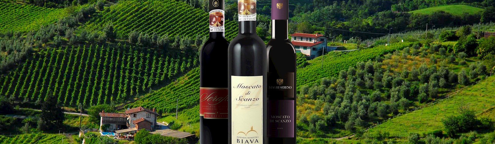 37 Best Wines in Lombardy - TasteAtlas