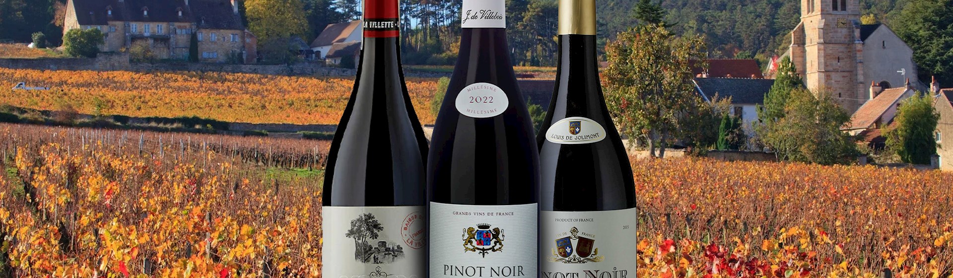 30 Best Red Grapes in France - TasteAtlas