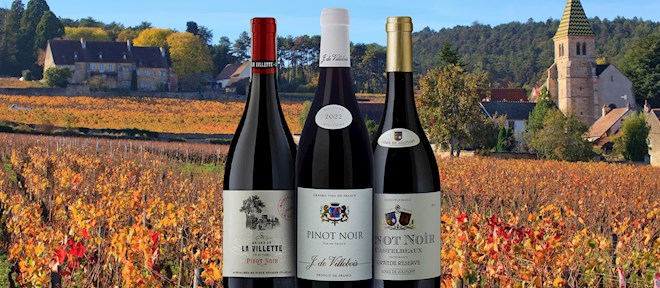 Wine Varieties of the World: 303 Wine Variety Types | TasteAtlas