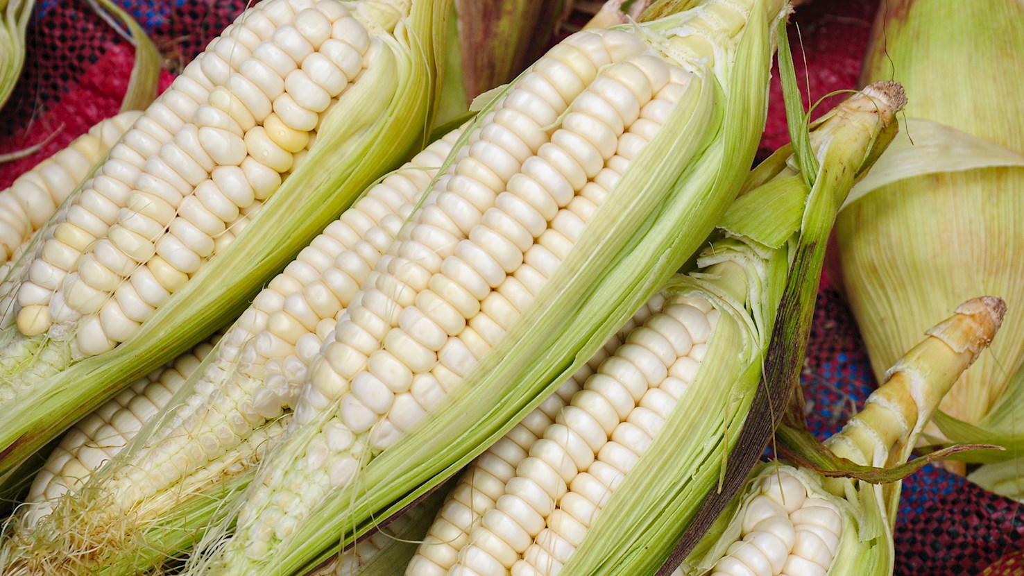 Top 12 Corns in the World - TasteAtlas
