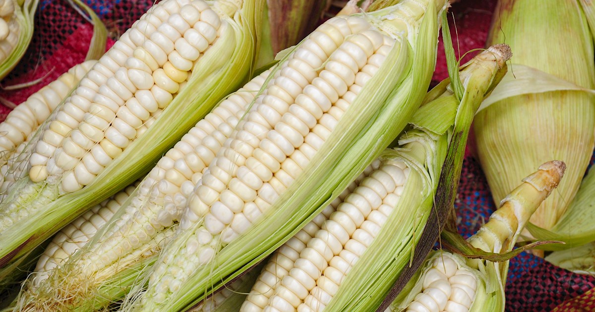 Choclo | Local Corn From Peru