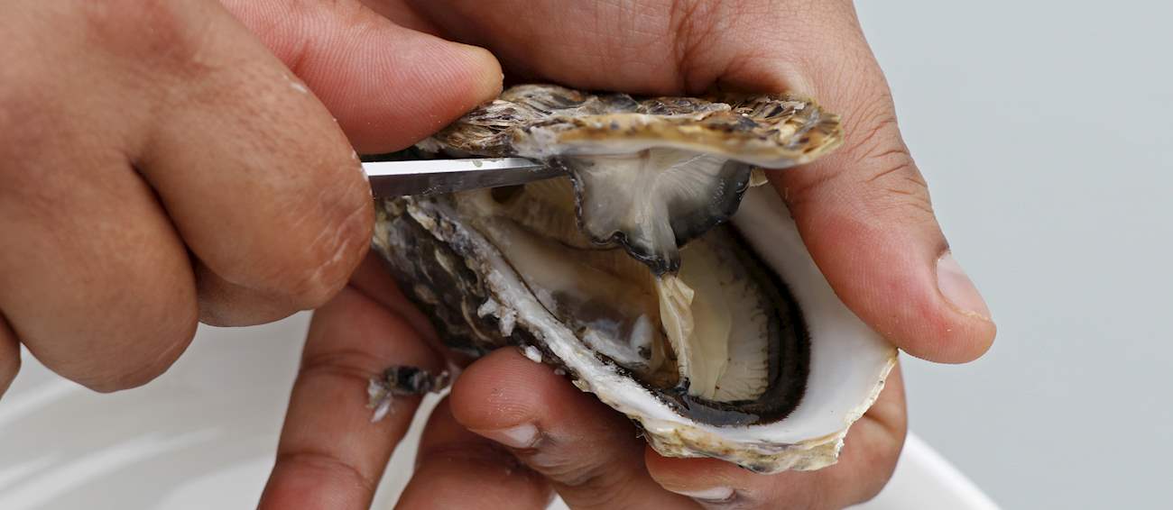 13 Best Oysters in the World - TasteAtlas