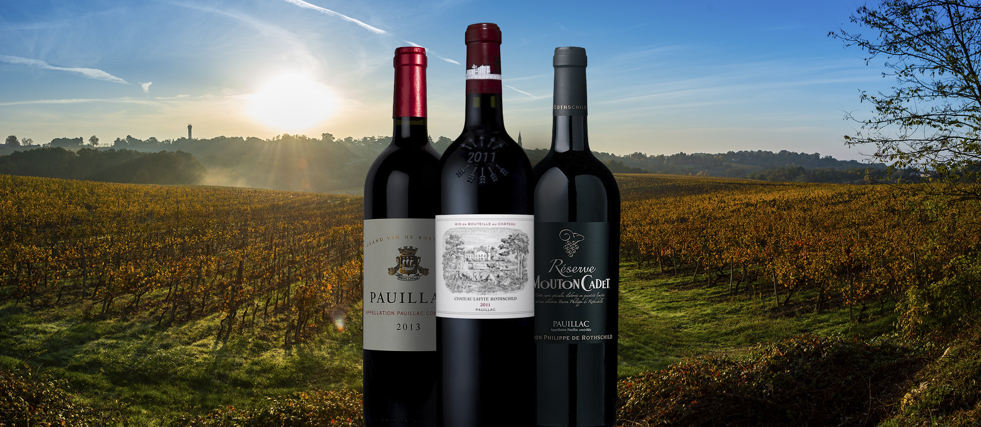 Pauillac | Local Wine Appellation From Gironde, France