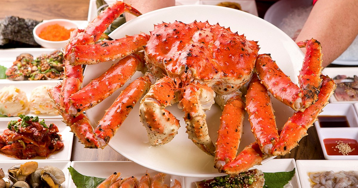 Pyura Chilensis Living Rock