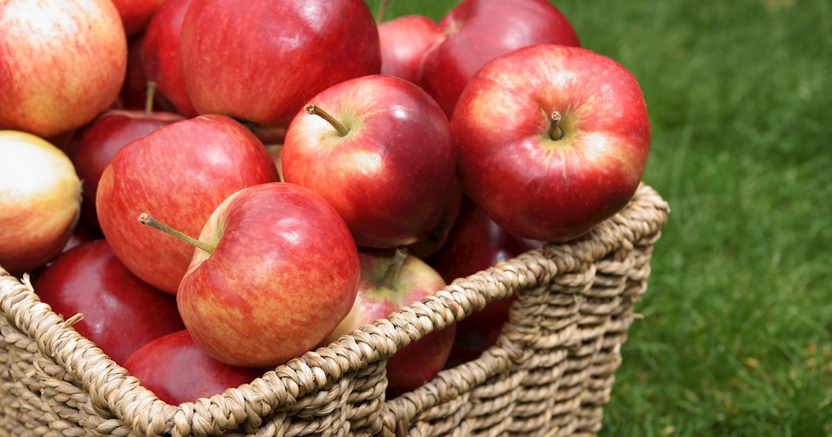 Top 7 English Apple Varieties - TasteAtlas
