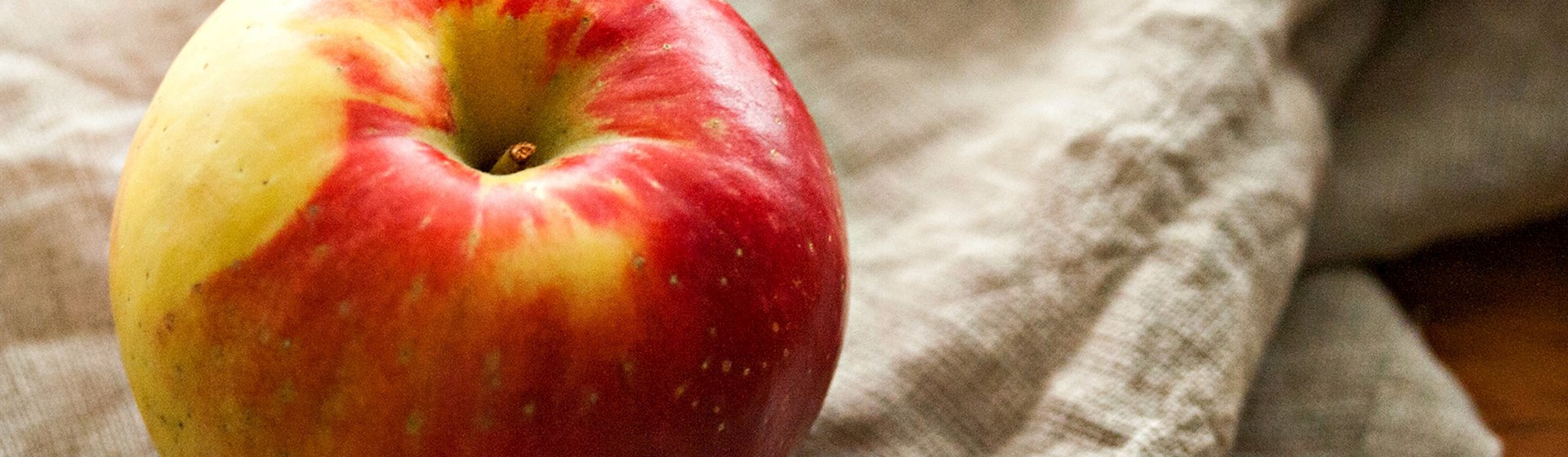 5 Best Apple Varieties in Minnesota - TasteAtlas