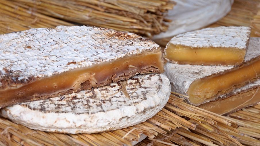 50 Most Popular European Bloomy Rind Cheeses - TasteAtlas