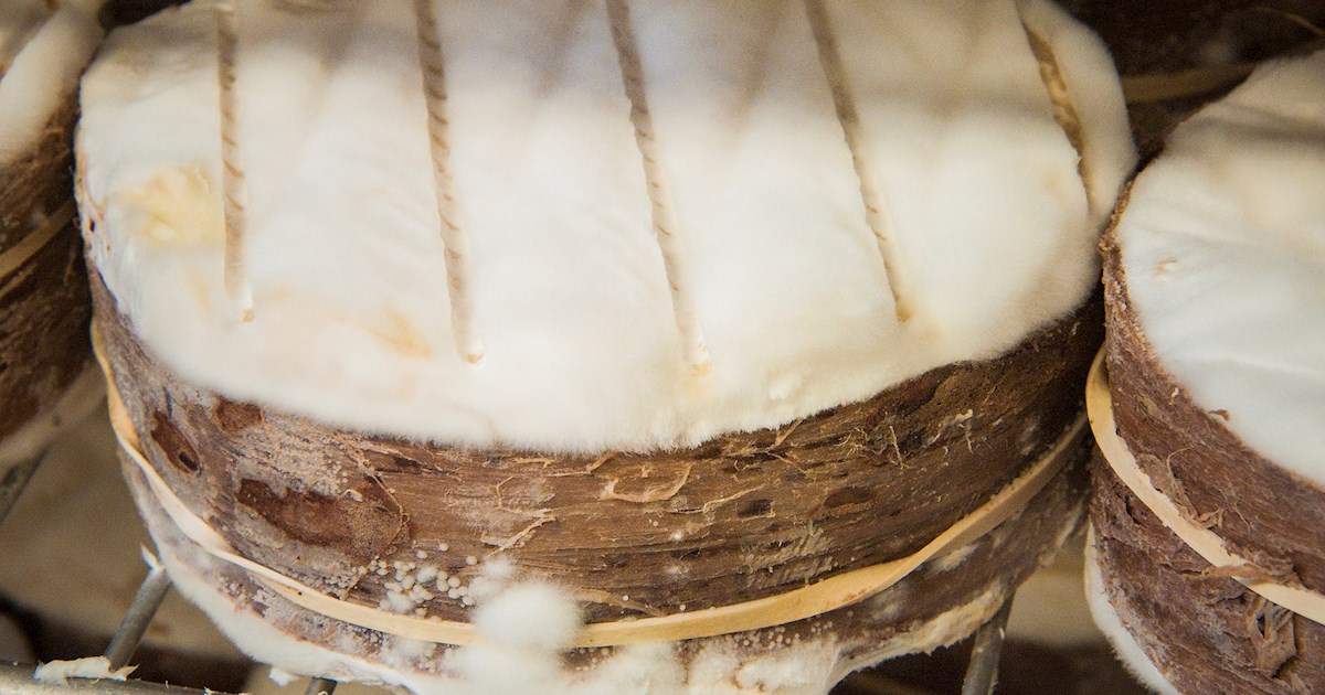 41 Best Cheeses in Vermont - TasteAtlas