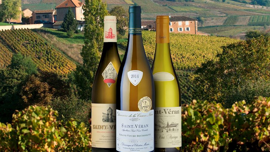 10 Most Popular Burgundian White Wines - TasteAtlas