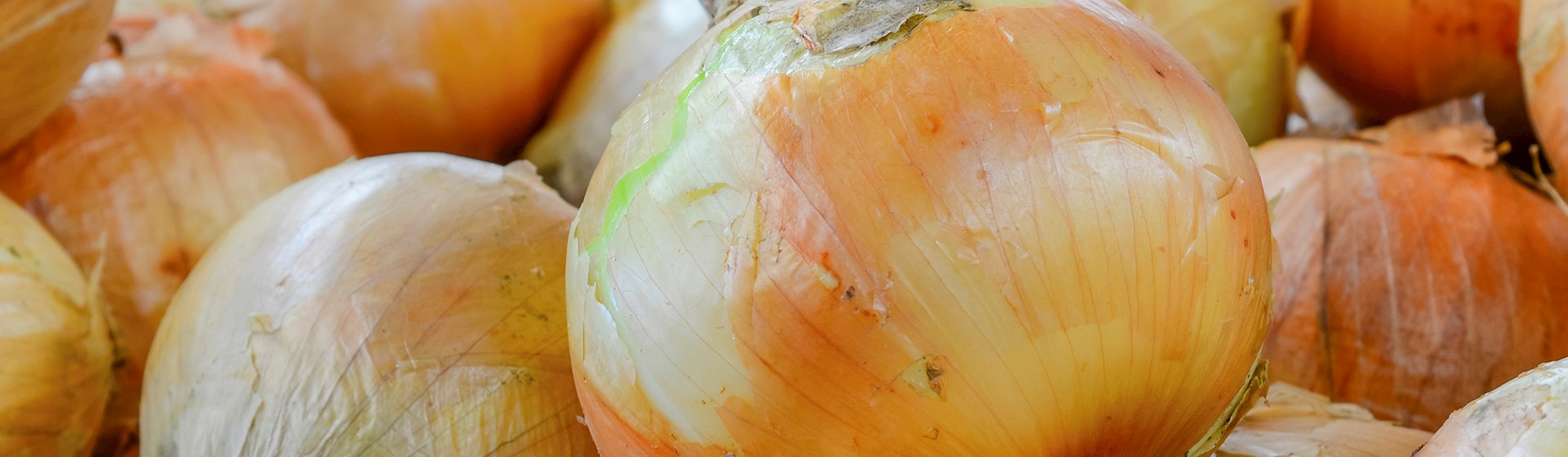 Top 13 American Vegetables - TasteAtlas