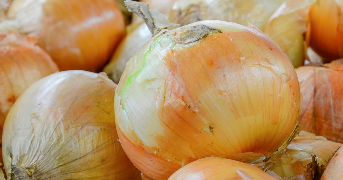 American Vegetables: 10 Vegetable Types in United States of America ...