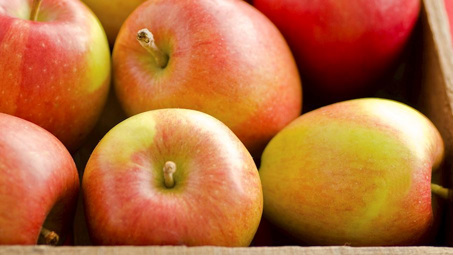 Worst Rated Apples in the World - TasteAtlas