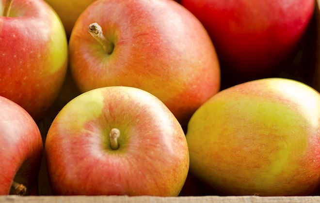 Fruits of the World: 253 Fruit Types | TasteAtlas