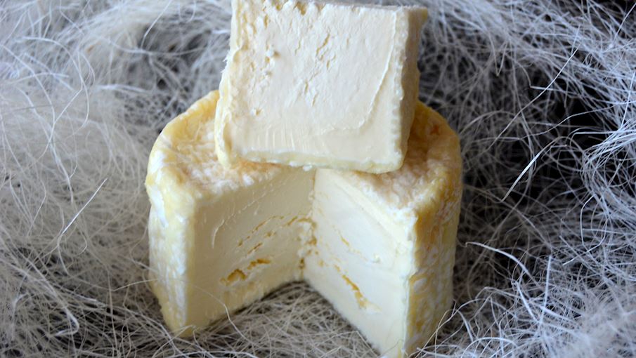 50 Most Popular European Bloomy Rind Cheeses - TasteAtlas