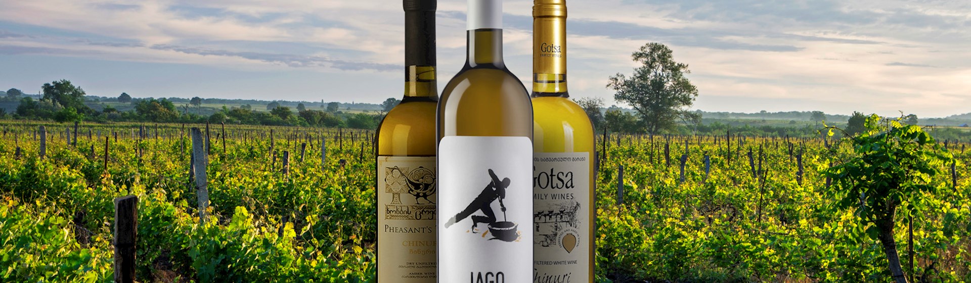 5 Worst Rated Eastern European White Grapes - TasteAtlas