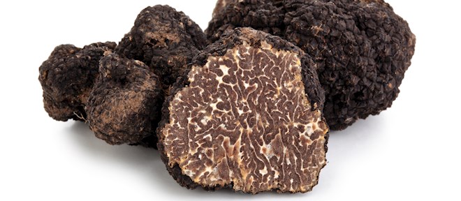 Truffles of the World: 14 Truffle Types | TasteAtlas