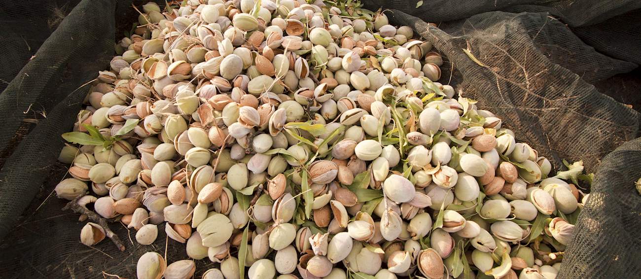 3 Best Almonds in Italy - TasteAtlas